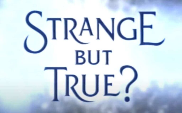 Stereophonics Concert | Upcoming Gigs Cork | The Address Cork